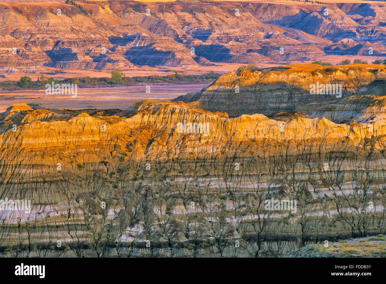 The badlands in Southern Alberta, Canada Stock Photo - Alamy