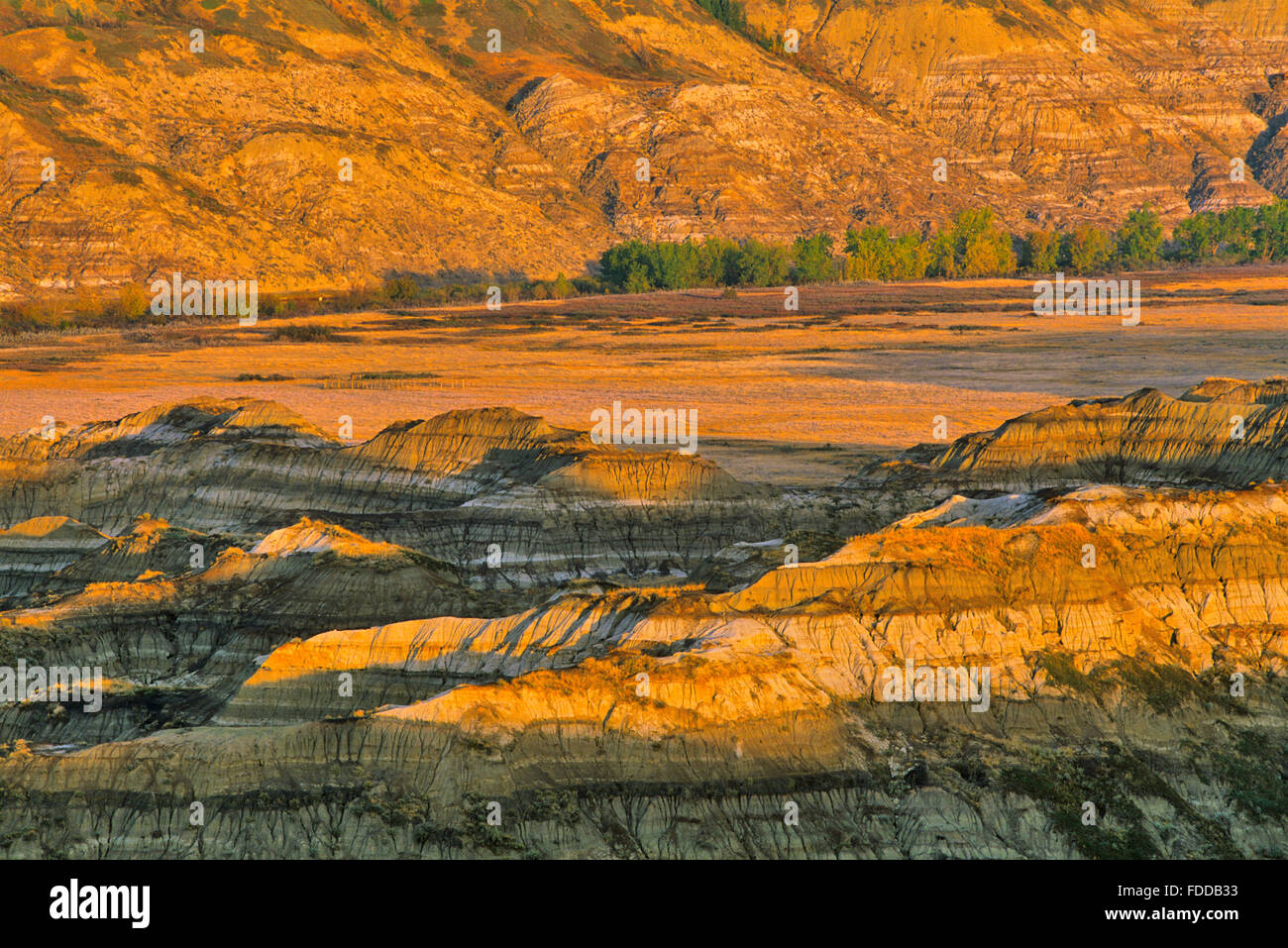The badlands in Southern Alberta, Canada Stock Photo - Alamy