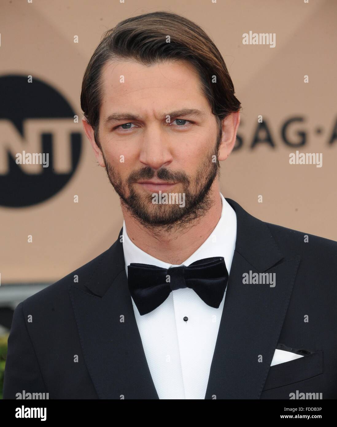 Los Angeles, CA, USA. 30th Jan, 2016. Michiel Huisman at arrivals for ...