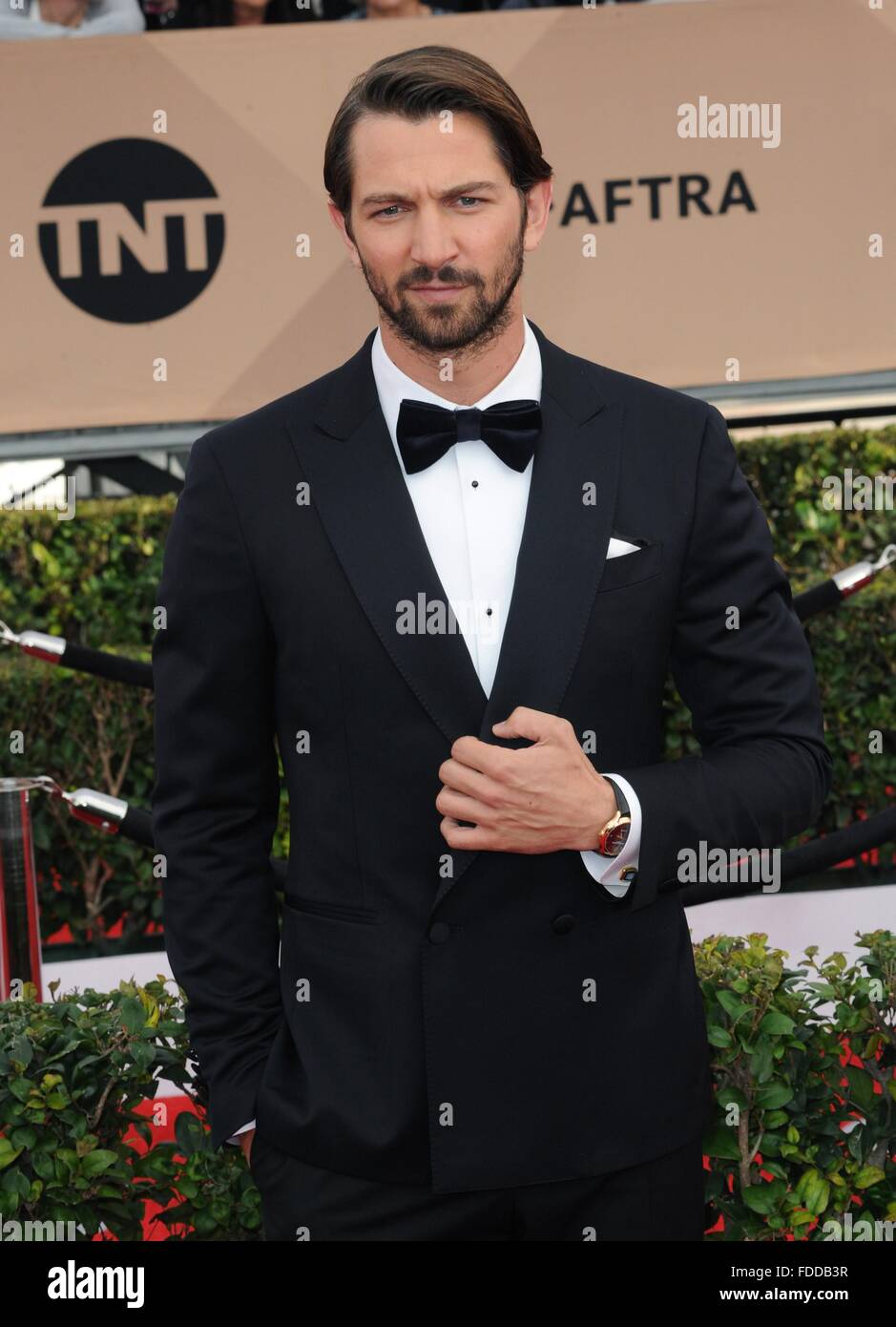 Los Angeles, CA, USA. 30th Jan, 2016. Michiel Huisman at arrivals for ...