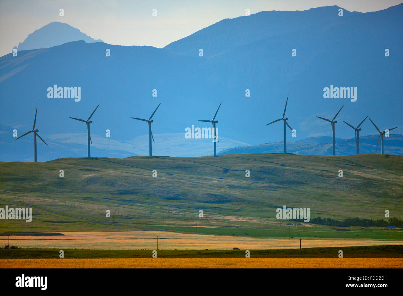 Wind farm in Southern Alberta, Canada Stock Photo - Alamy