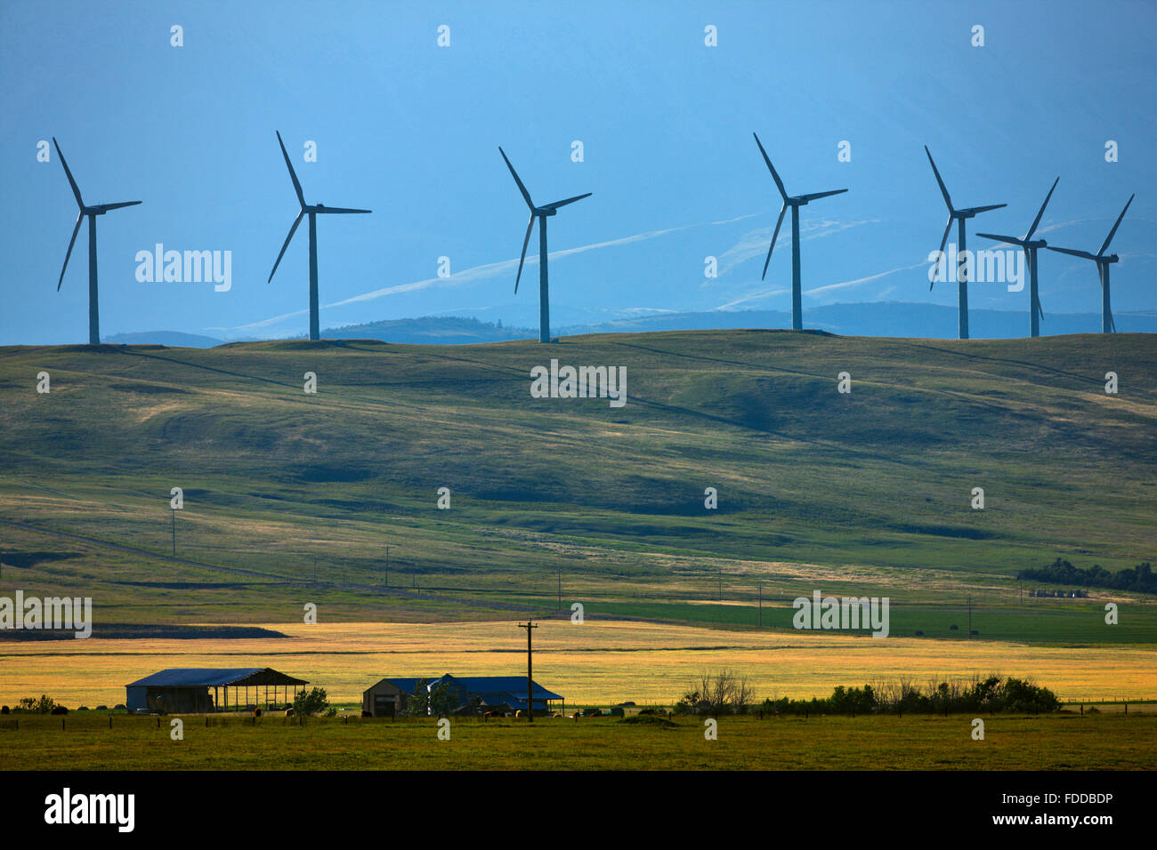 Wind farm in Southern Alberta, Canada Stock Photo - Alamy
