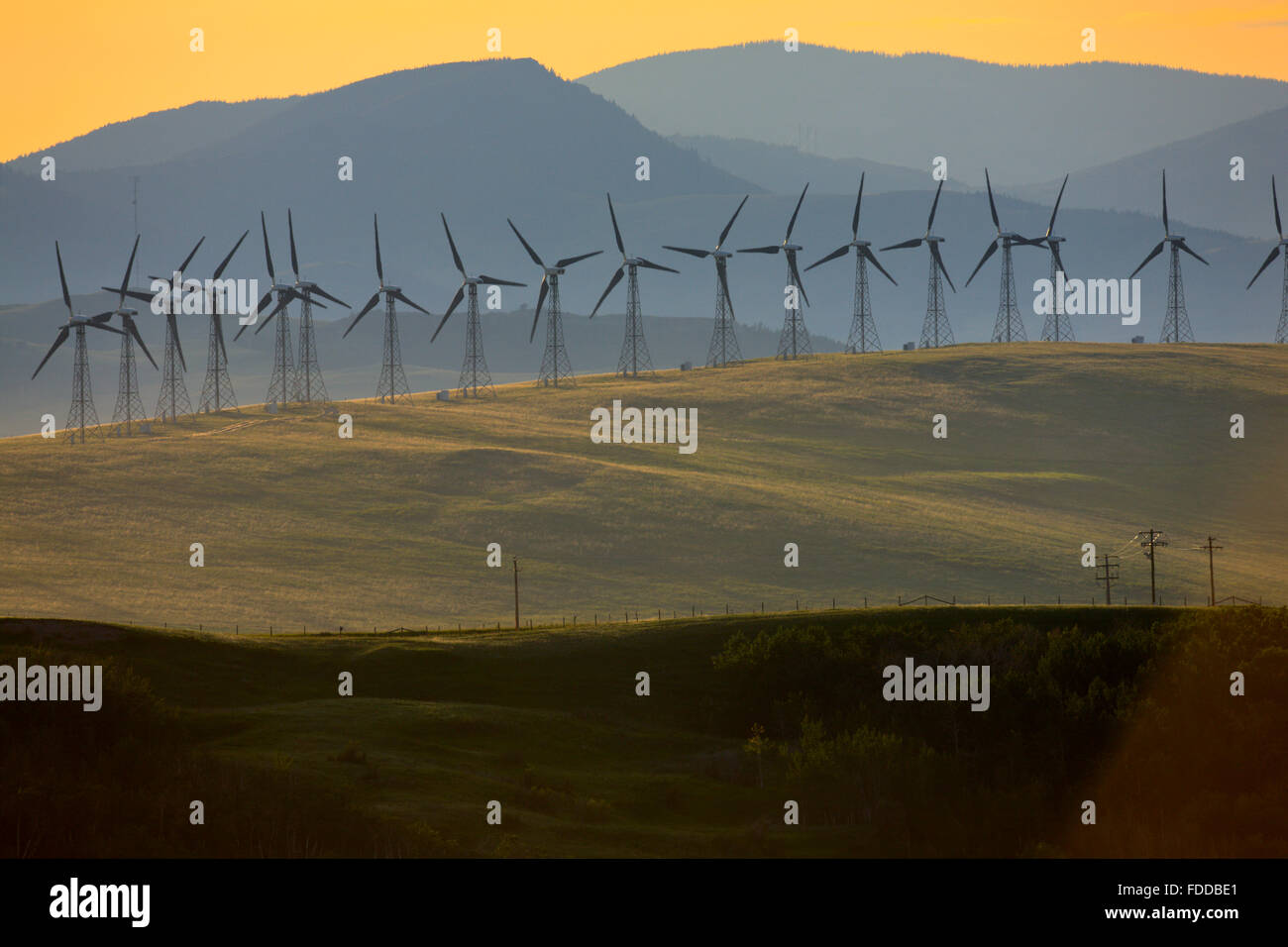 Wind farm in Southern Alberta, Canada Stock Photo - Alamy