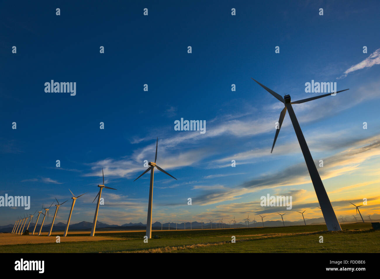 Wind farm in Southern Alberta, Canada Stock Photo - Alamy
