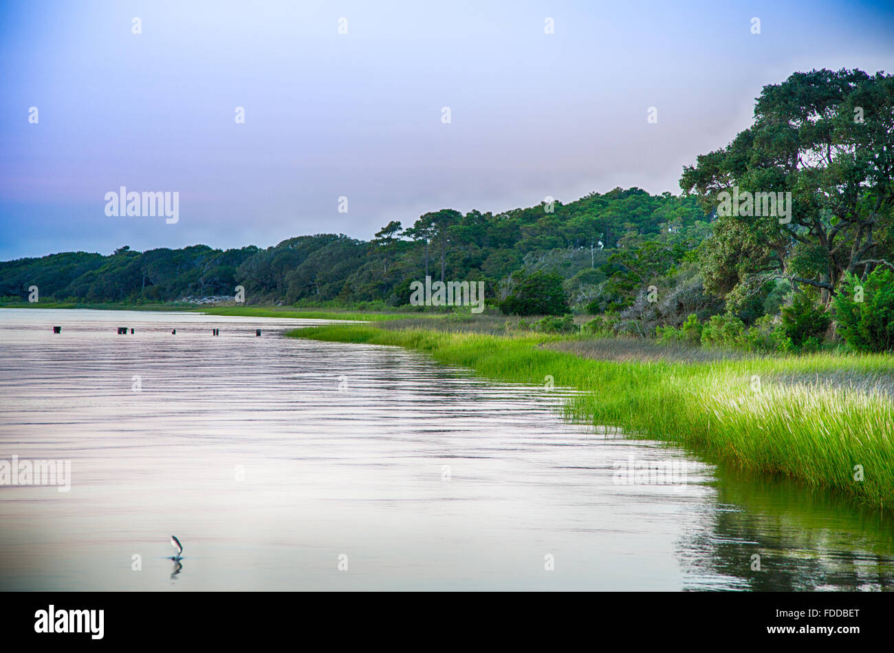 Cape fear river hi-res stock photography and images - Alamy