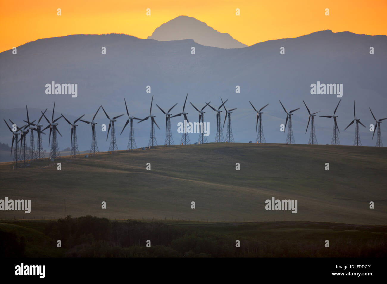 Wind farm in Southern Alberta, Canada Stock Photo - Alamy