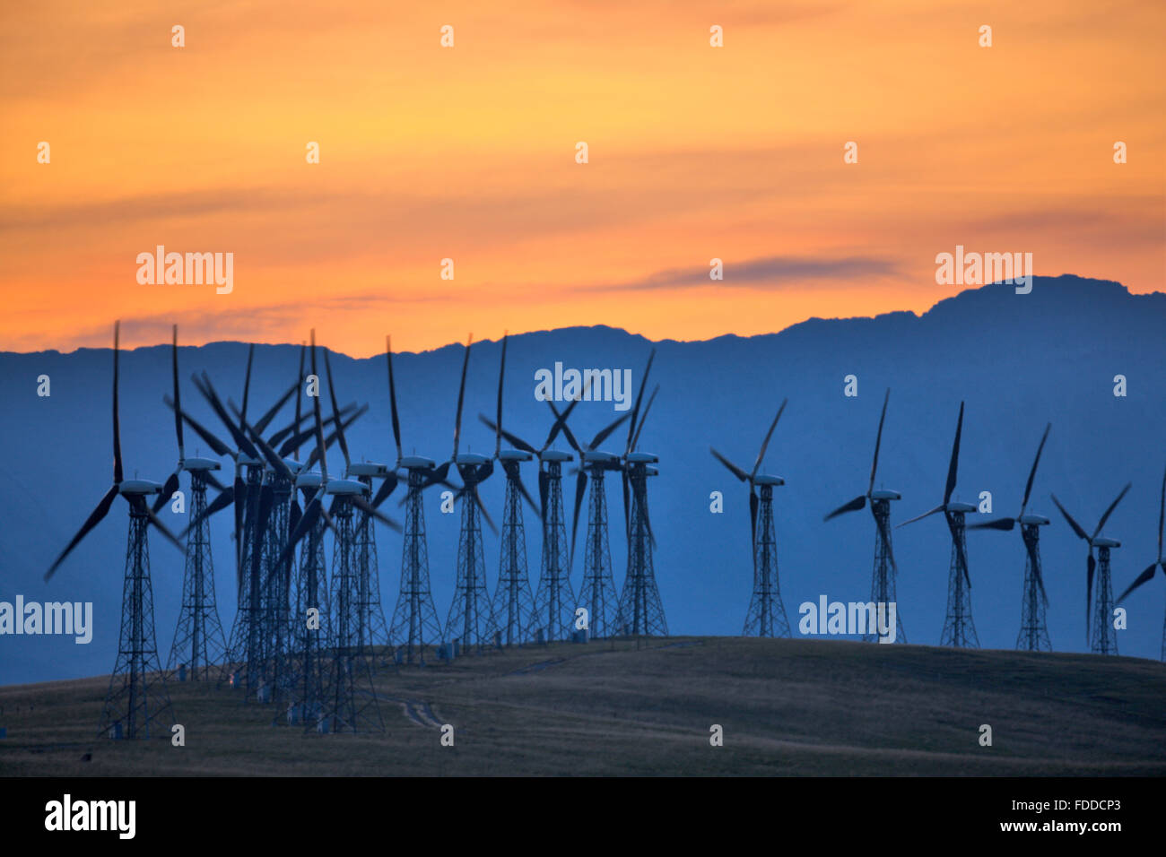 Windmill in southern alberta hi-res stock photography and images - Alamy