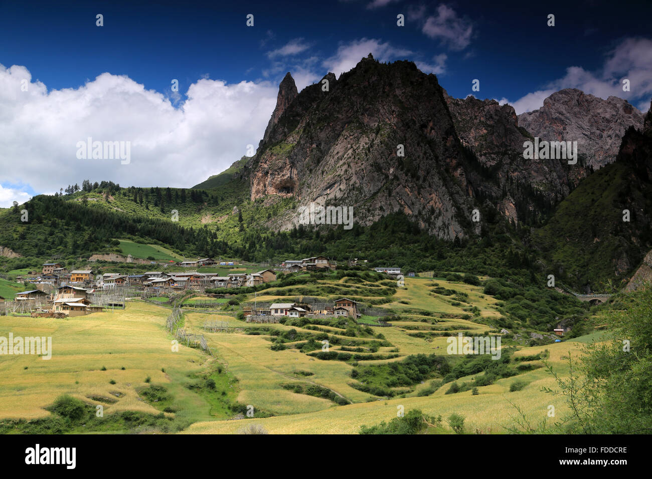 Gansu Province Diebu County Zhagana Village Stock Photo - Alamy