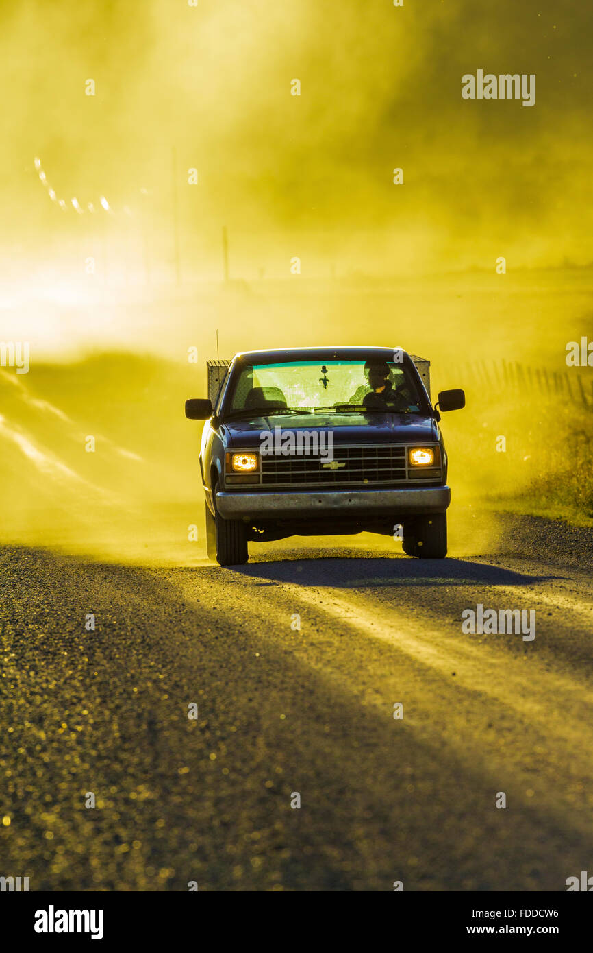 vehicle creating dust on country road in Alberta Foothills country ...