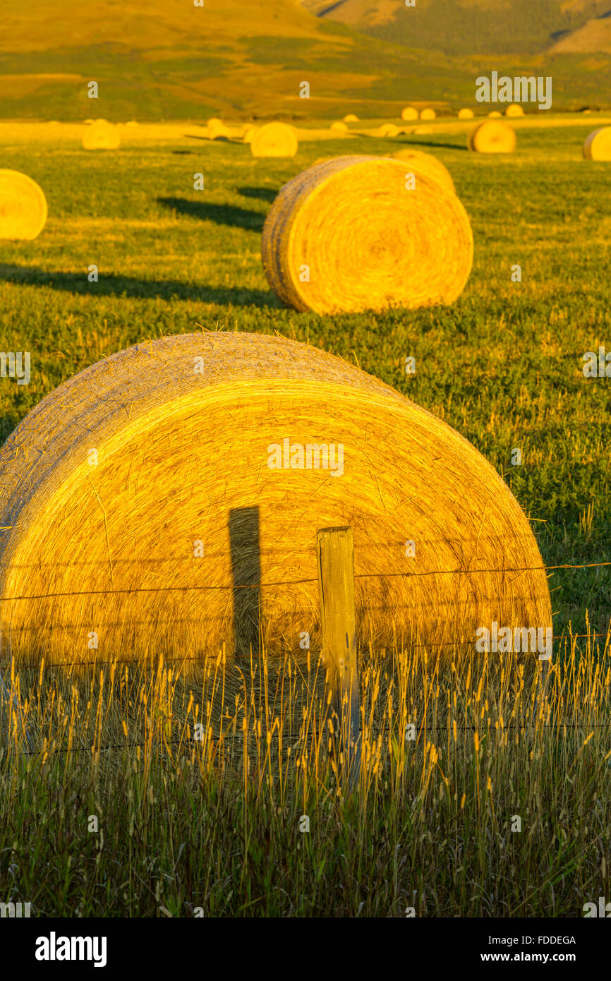 Prairie meets rocky mountains hi-res stock photography and images - Alamy