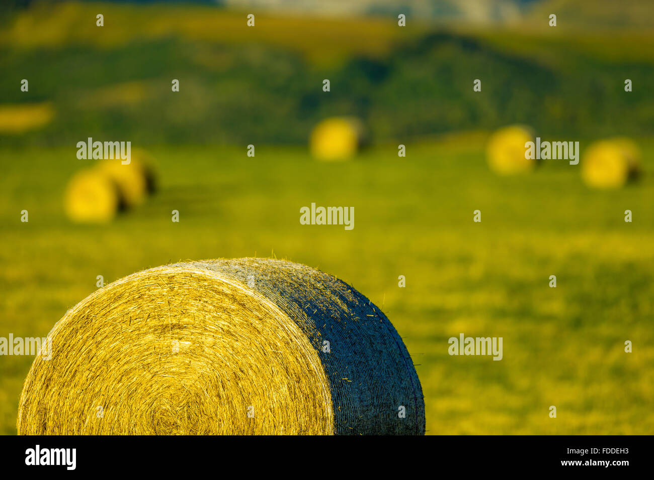 Prairie meets rocky mountains hi-res stock photography and images - Alamy