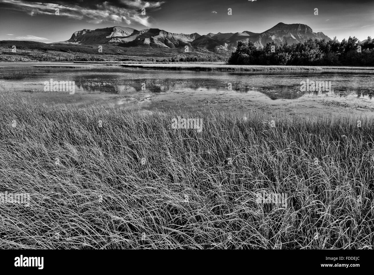 Maskinonge Lake and Sofa Mountain, Waterton National Park Stock Photo ...