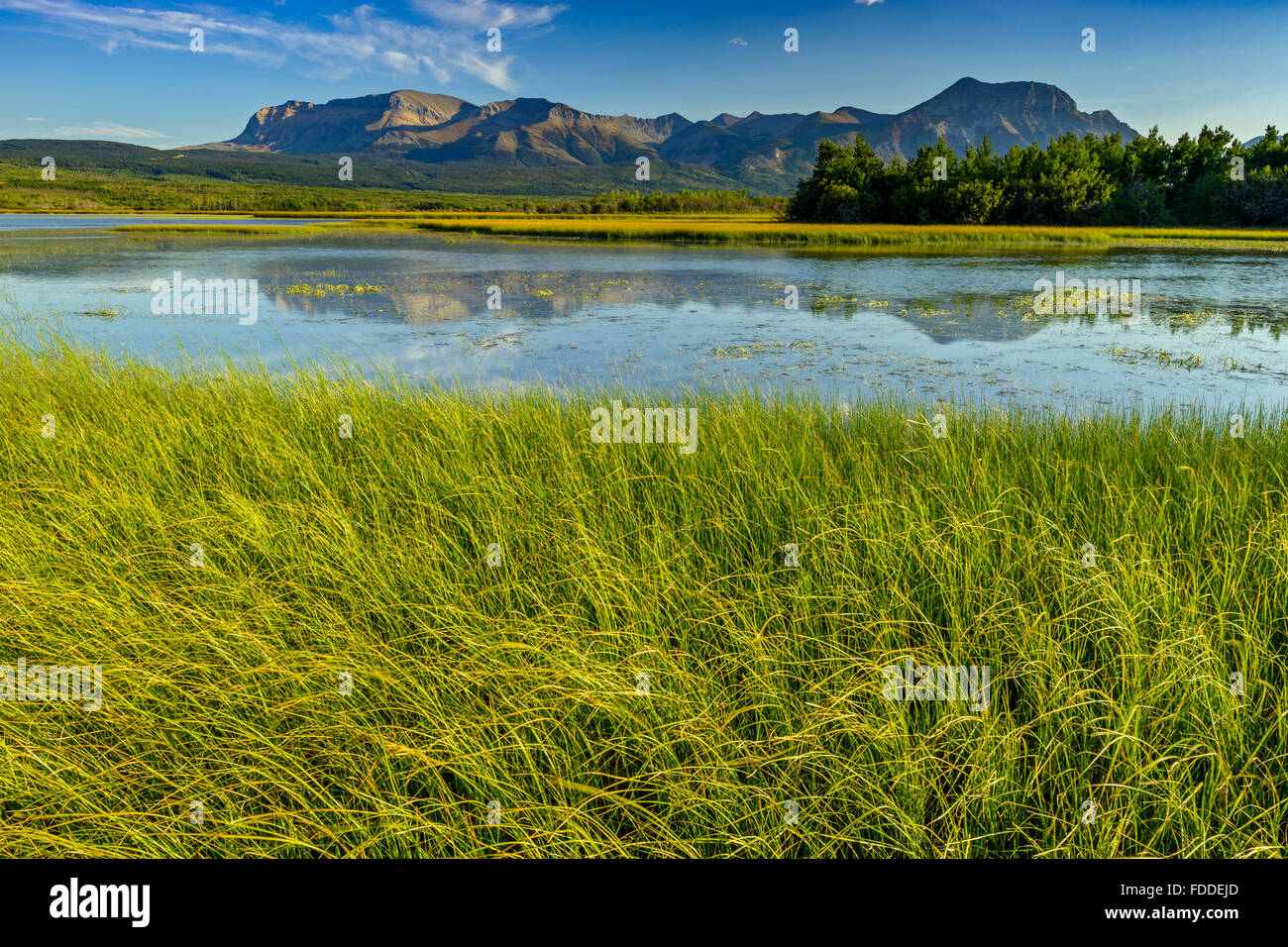 Maskinonge Lake and Sofa Mountain, Waterton National Park Stock Photo ...