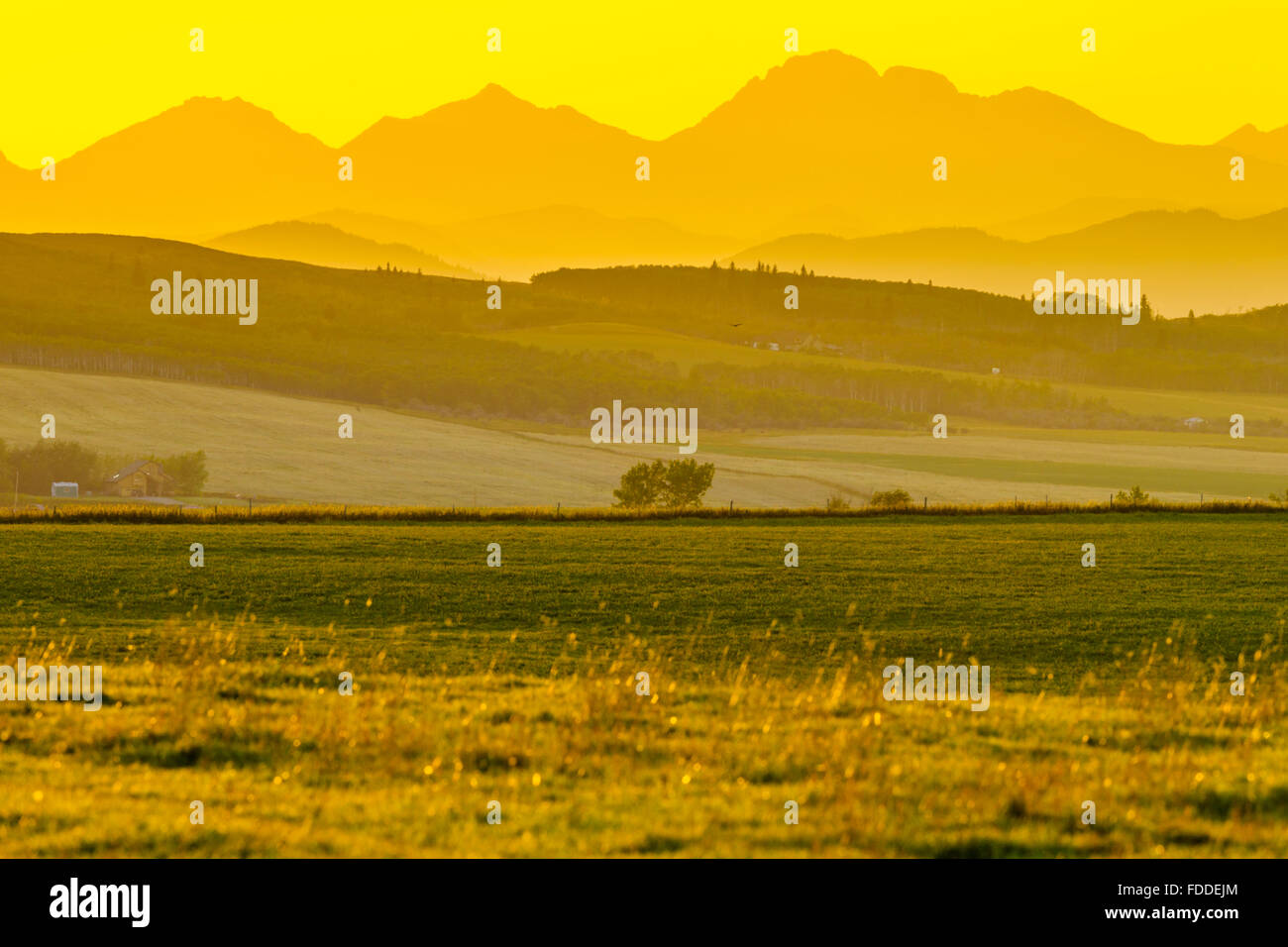 sunset in Alberta Foothills country Stock Photo - Alamy