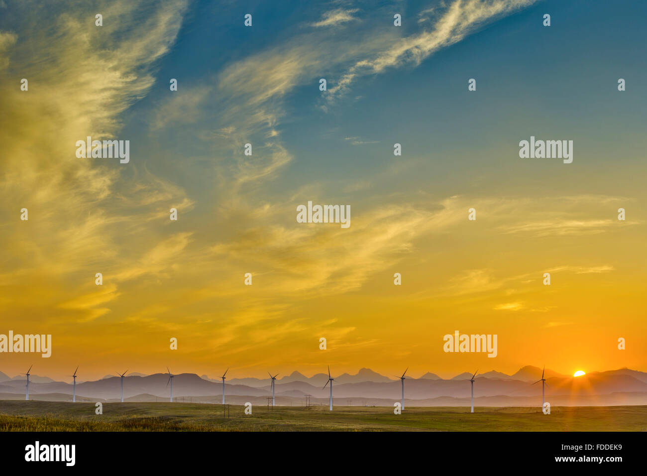 Wind farm in Southern Alberta, Canada Stock Photo - Alamy