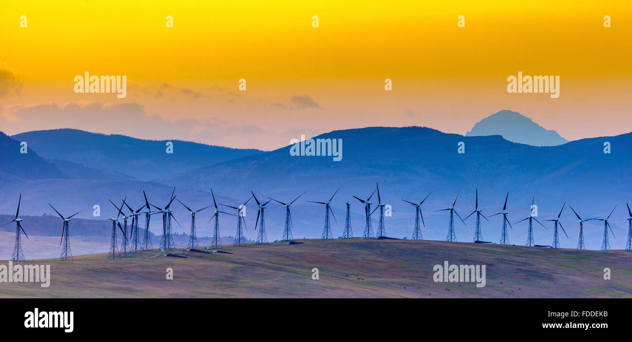 Wind farm in Southern Alberta, Canada Stock Photo - Alamy
