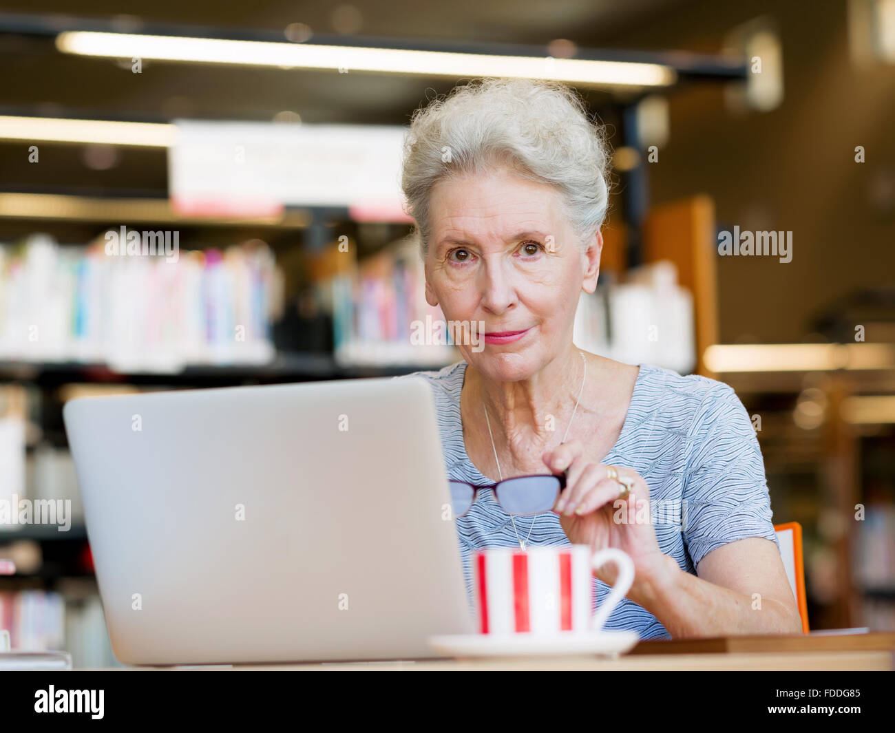 Elderly lady working with laptop Stock Photo - Alamy