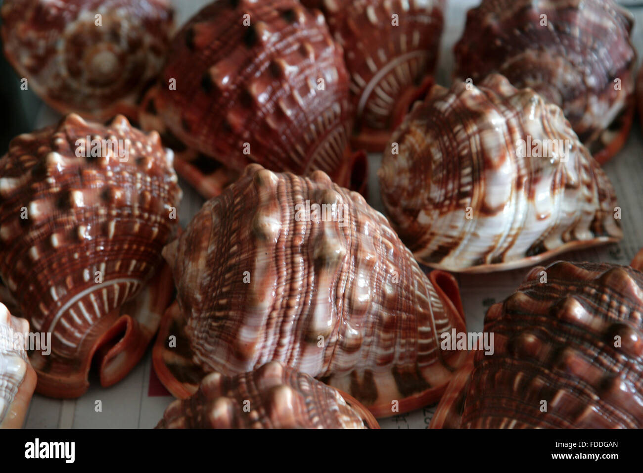 Hainan qionghai hi-res stock photography and images - Alamy