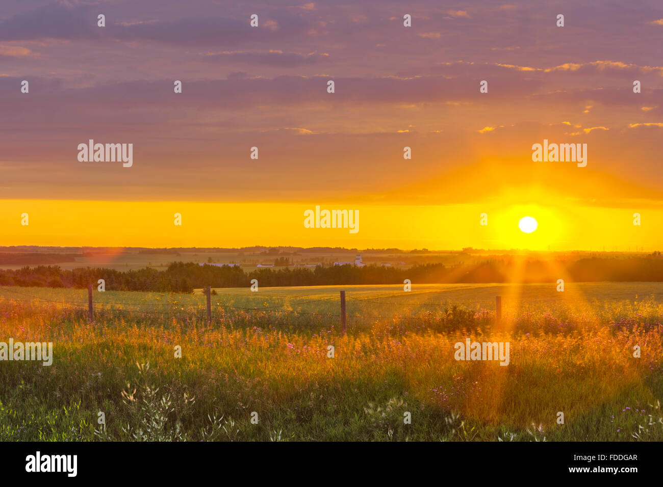 Rural alberta hi-res stock photography and images - Alamy