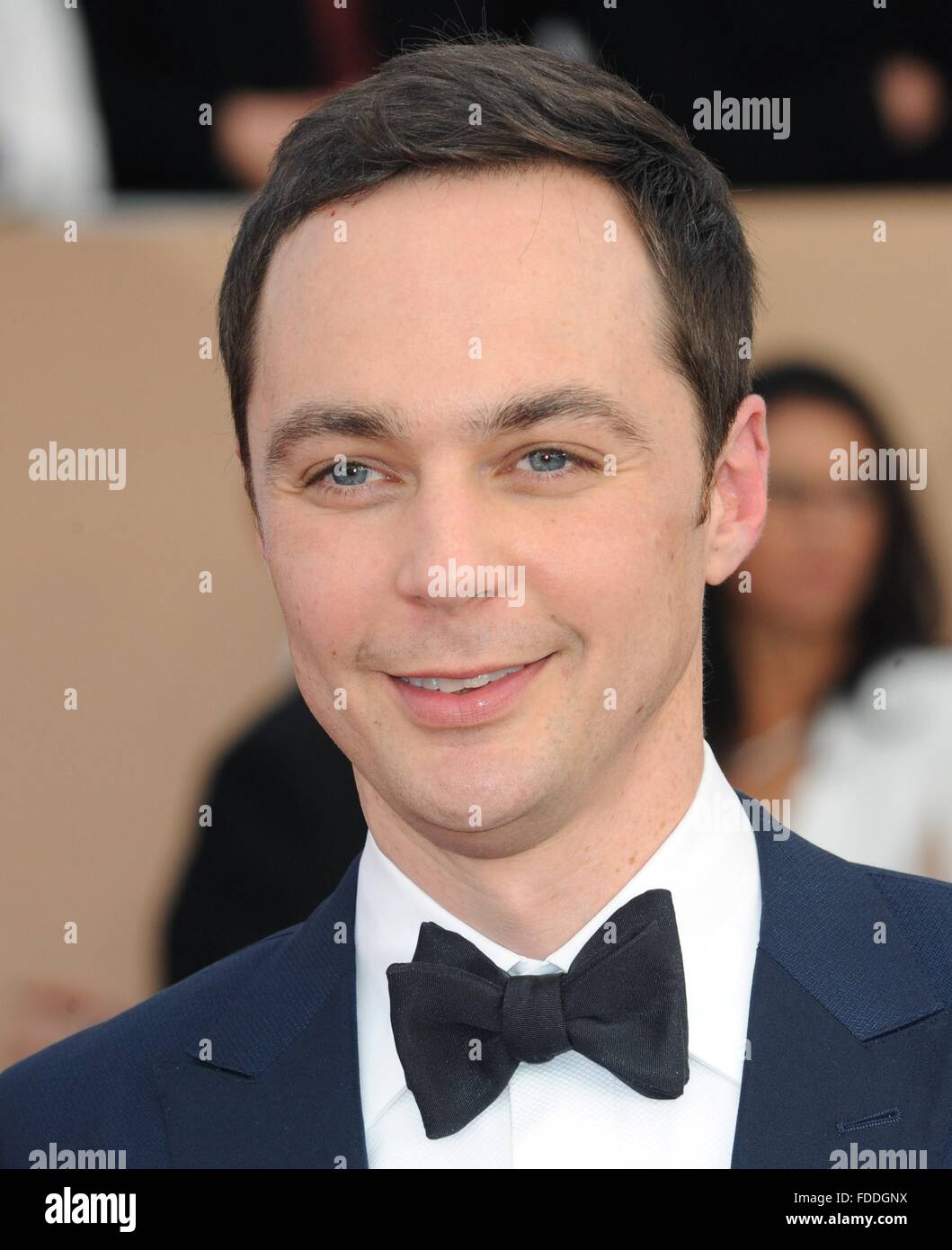 Los Angeles, CA, USA. 30th Jan, 2016. Jim Parsons at arrivals for 22nd ...
