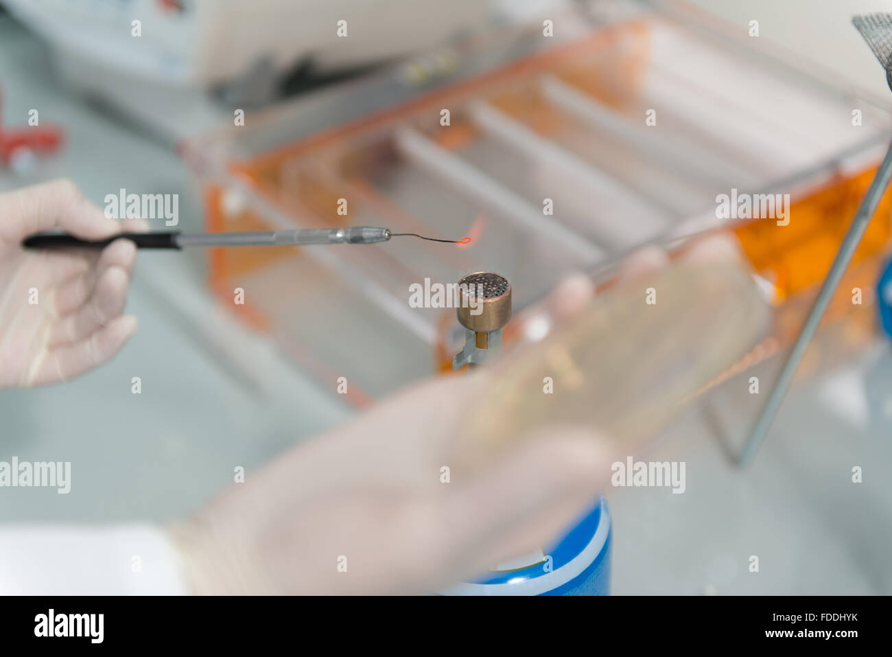 Close Up Of Scientist Hand During Scientific Experiment In Laboratory ...