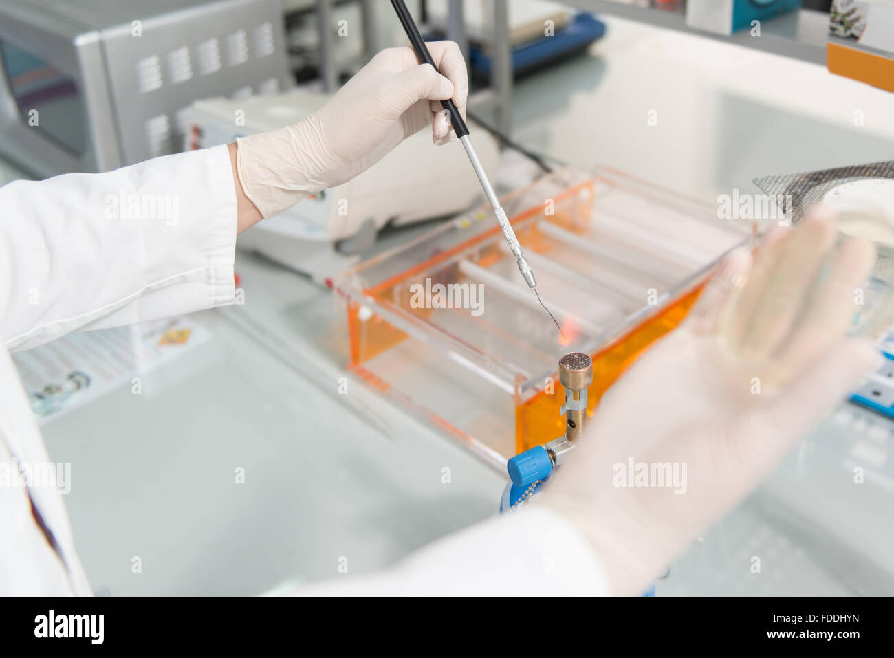 Close Up Of Scientist Hand During Scientific Experiment In Laboratory ...