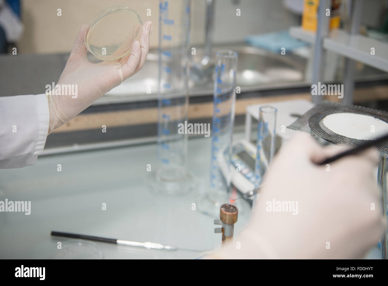 Close Up Of Scientist Hand During Scientific Experiment In Laboratory ...