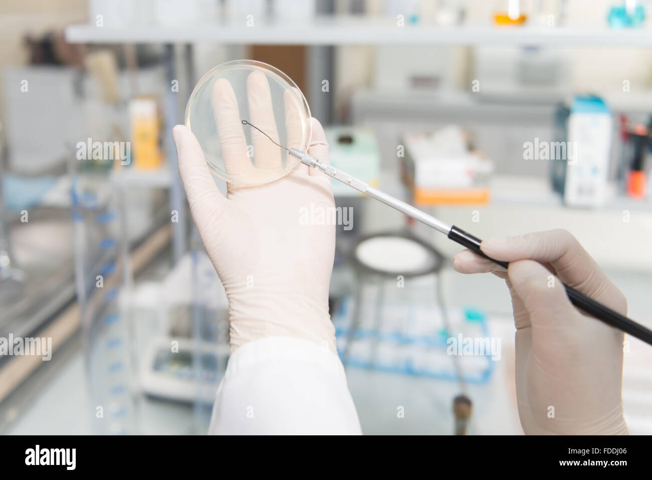 Close Up Of Scientist Hand During Scientific Experiment In Laboratory ...