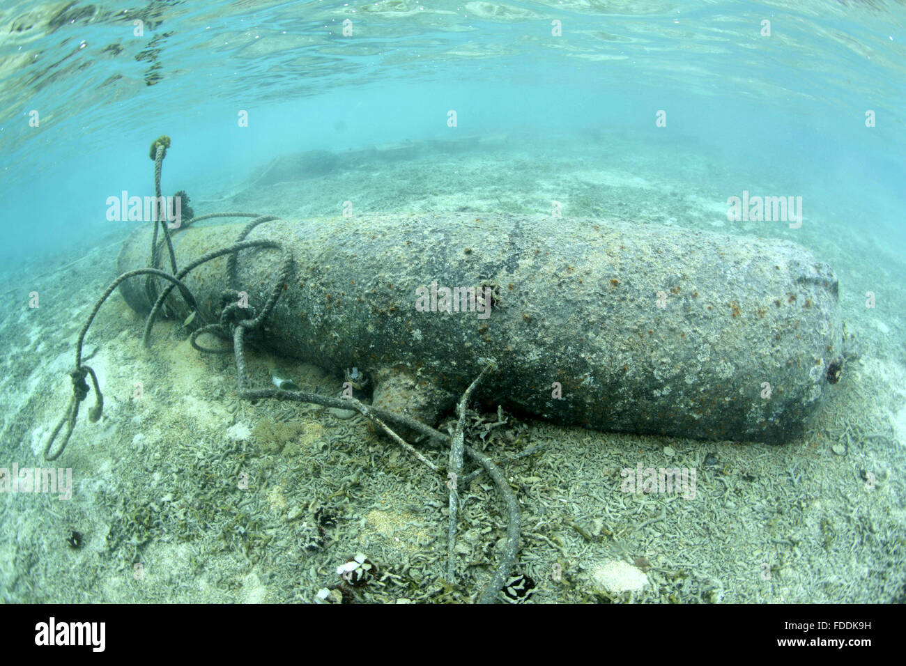 Submarine green coral Stock Photo - Alamy