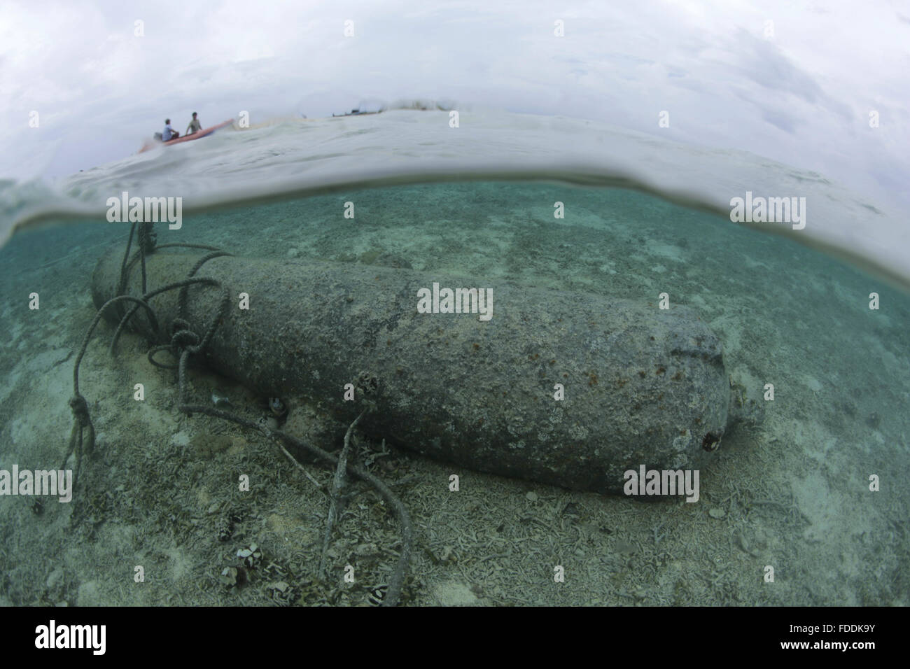 Submarine green coral Stock Photo - Alamy