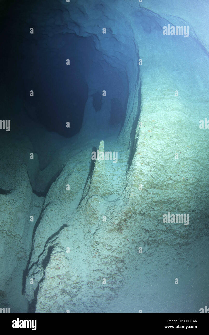 Submarine green coral Stock Photo - Alamy