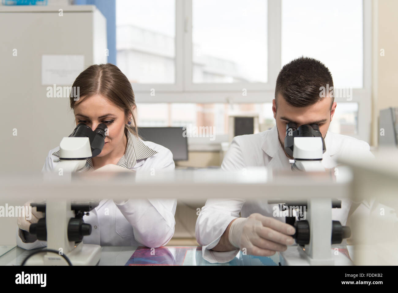 Group Of Scientists Conducting Research In A Lab Environment Looking ...