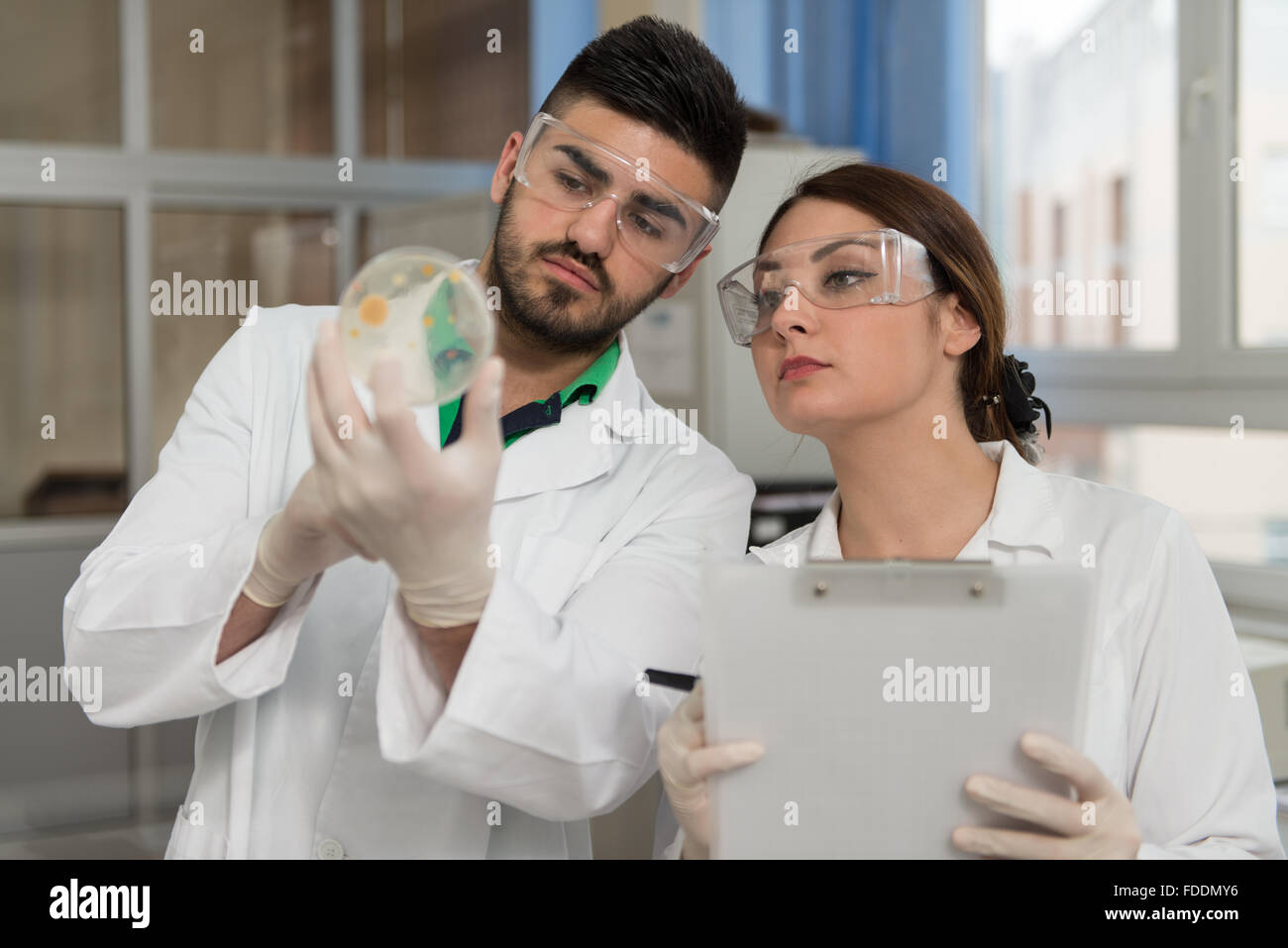 Group Of Scientists Conducting Research In A Lab Environment Stock ...
