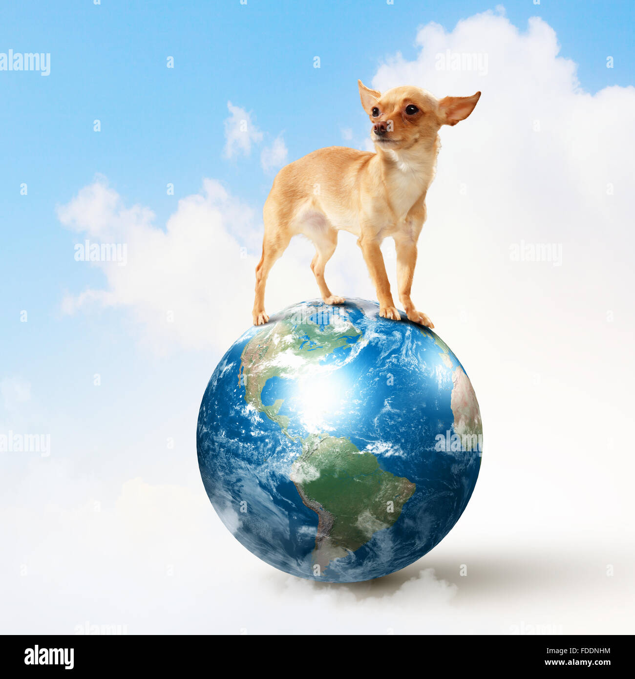 Dog with the Earth planet. Funny collage. Elements of this image are ...