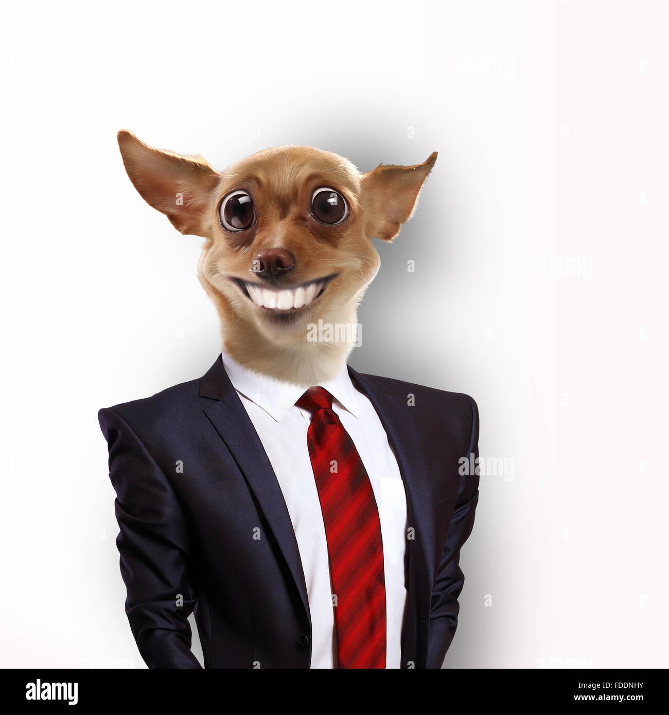 Doge In Suit