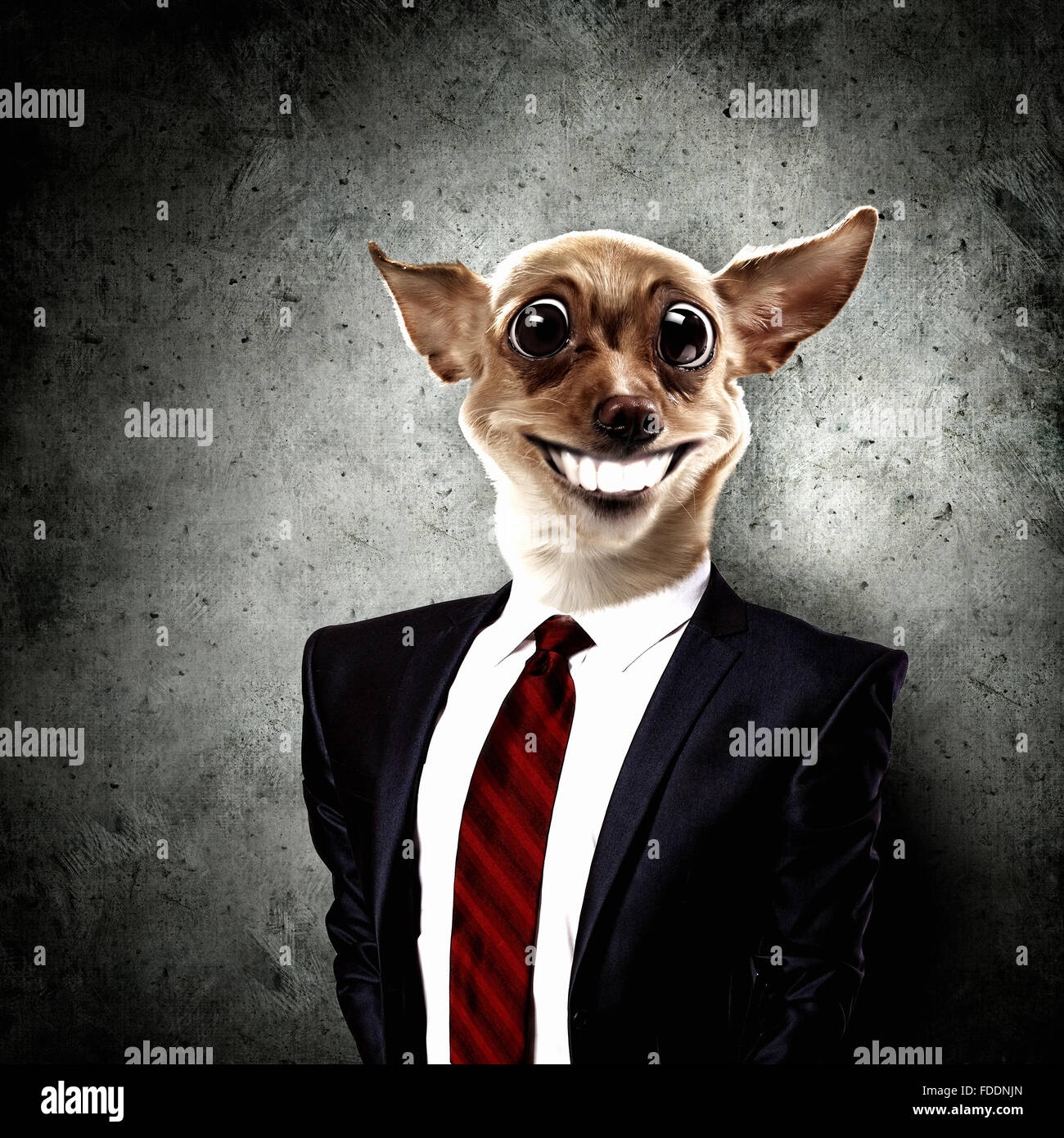 Funny portrait of a dog in a suit on an abstract background. Collage ...