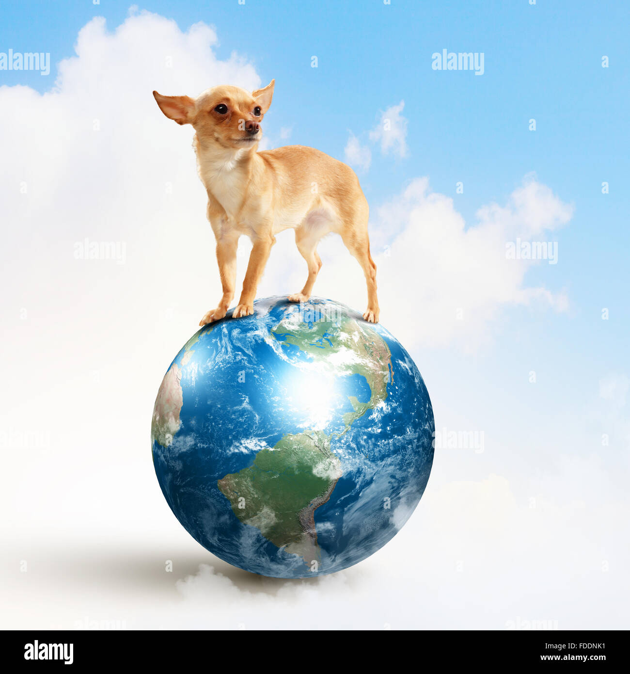 Dog with the Earth planet. Funny collage. Elements of this image are ...