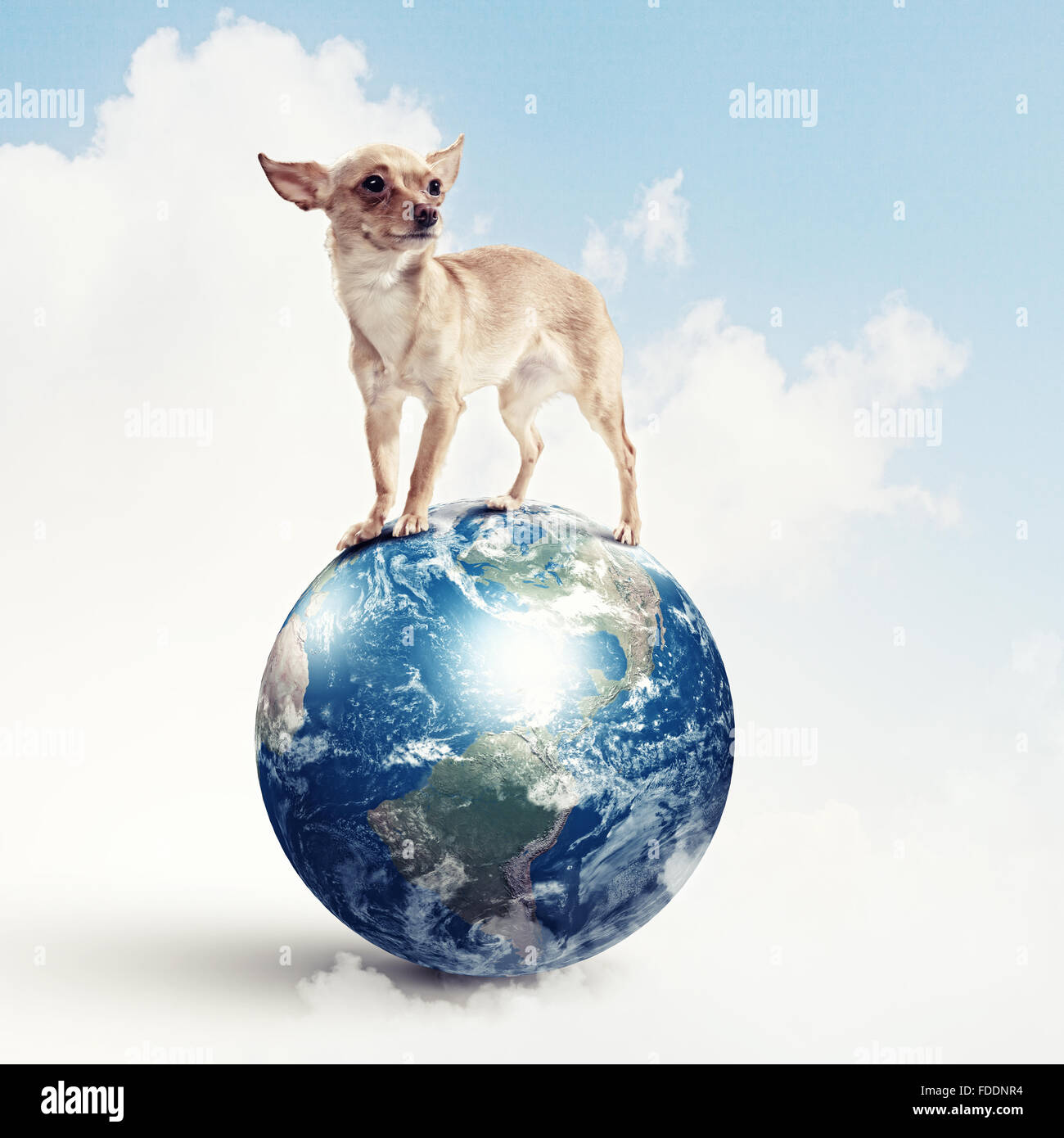 Dog with the Earth planet. Funny collage. Elements of this image are ...