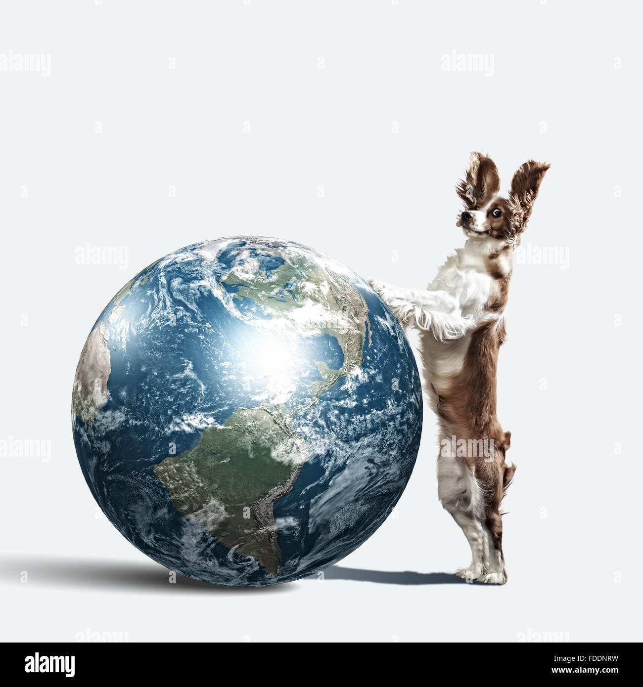 Dog with the Earth planet. Funny collage. Elements of this image are ...