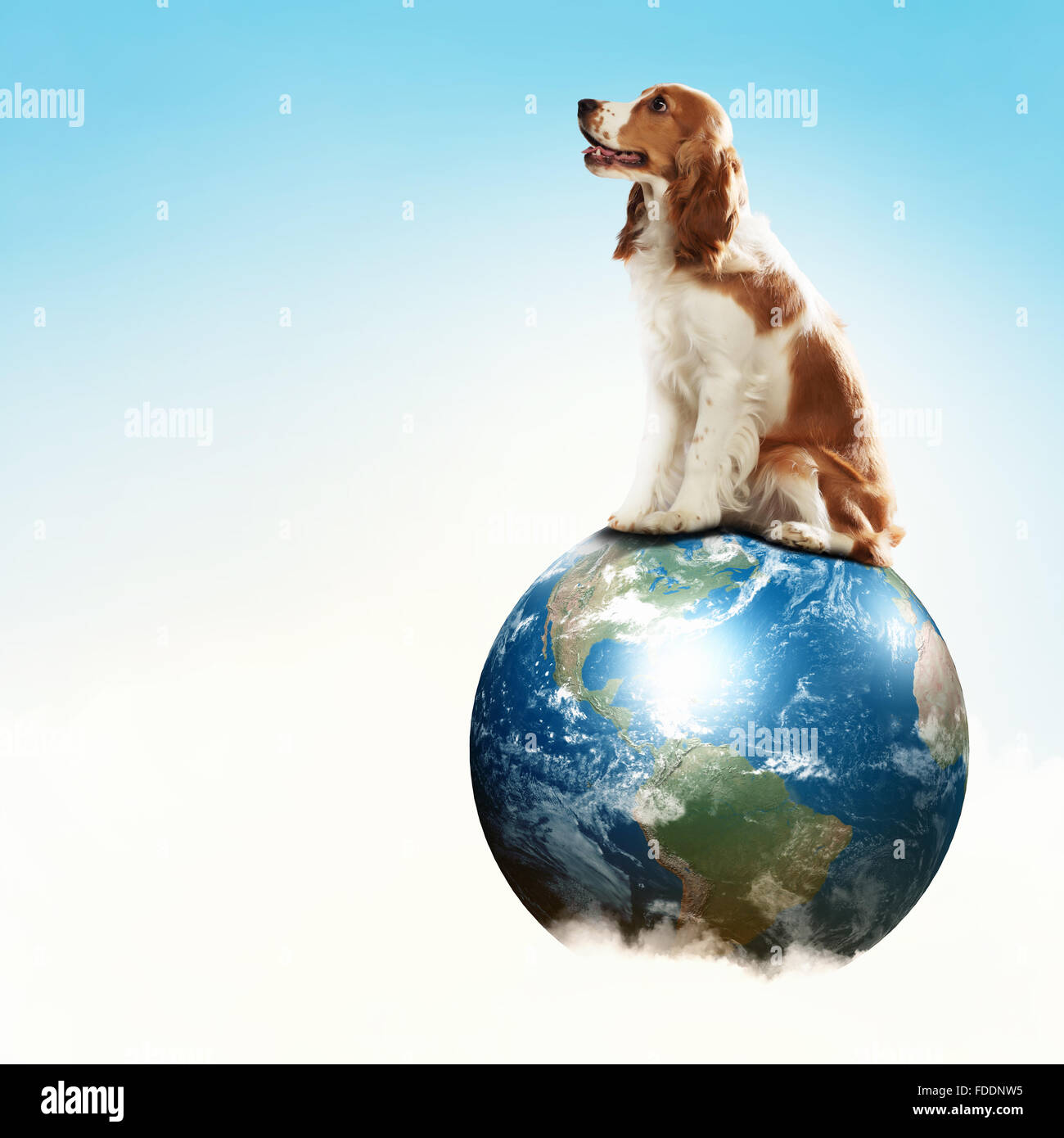 Dog with the Earth planet. Funny collage. Elements of this image are ...