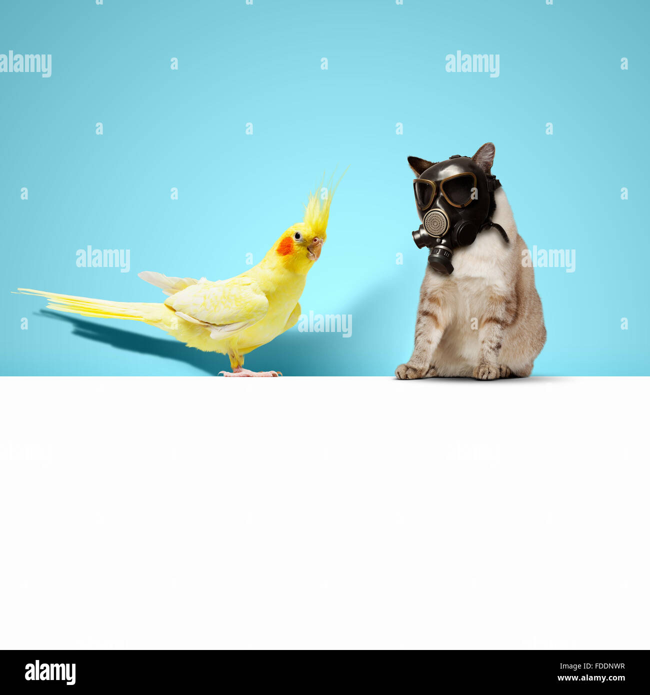 Energy concept gas nuclear hi-res stock photography and images - Alamy