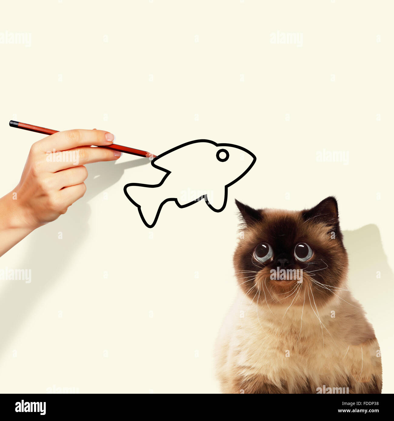 Image of siamese cat catching drawed fish Stock Photo - Alamy