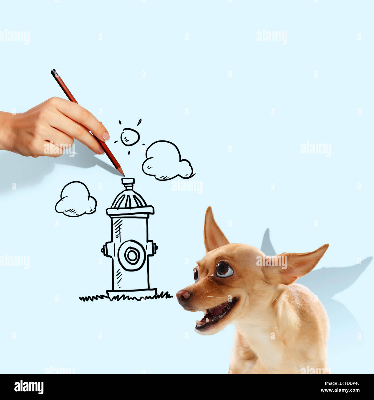 Image of funny spaniel with paw drawing Stock Photo - Alamy