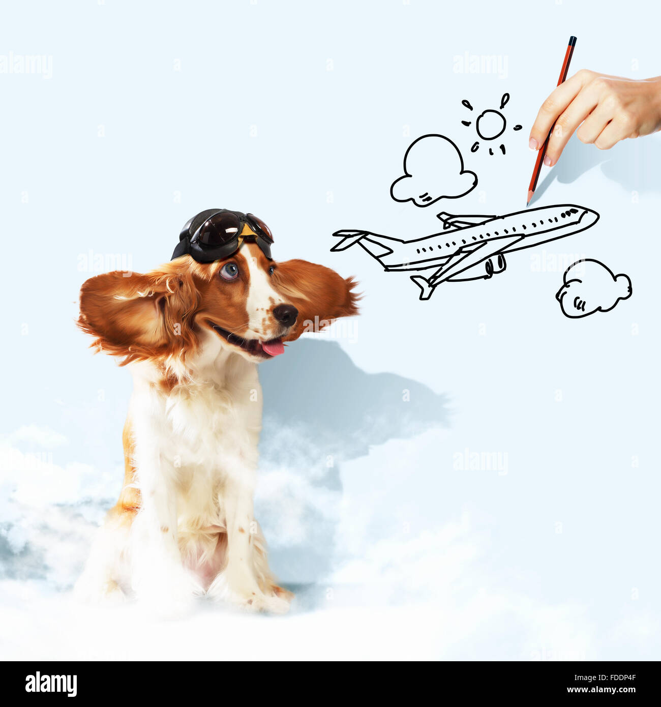 Image of funny spaniel dog in pilot helmet Stock Photo - Alamy