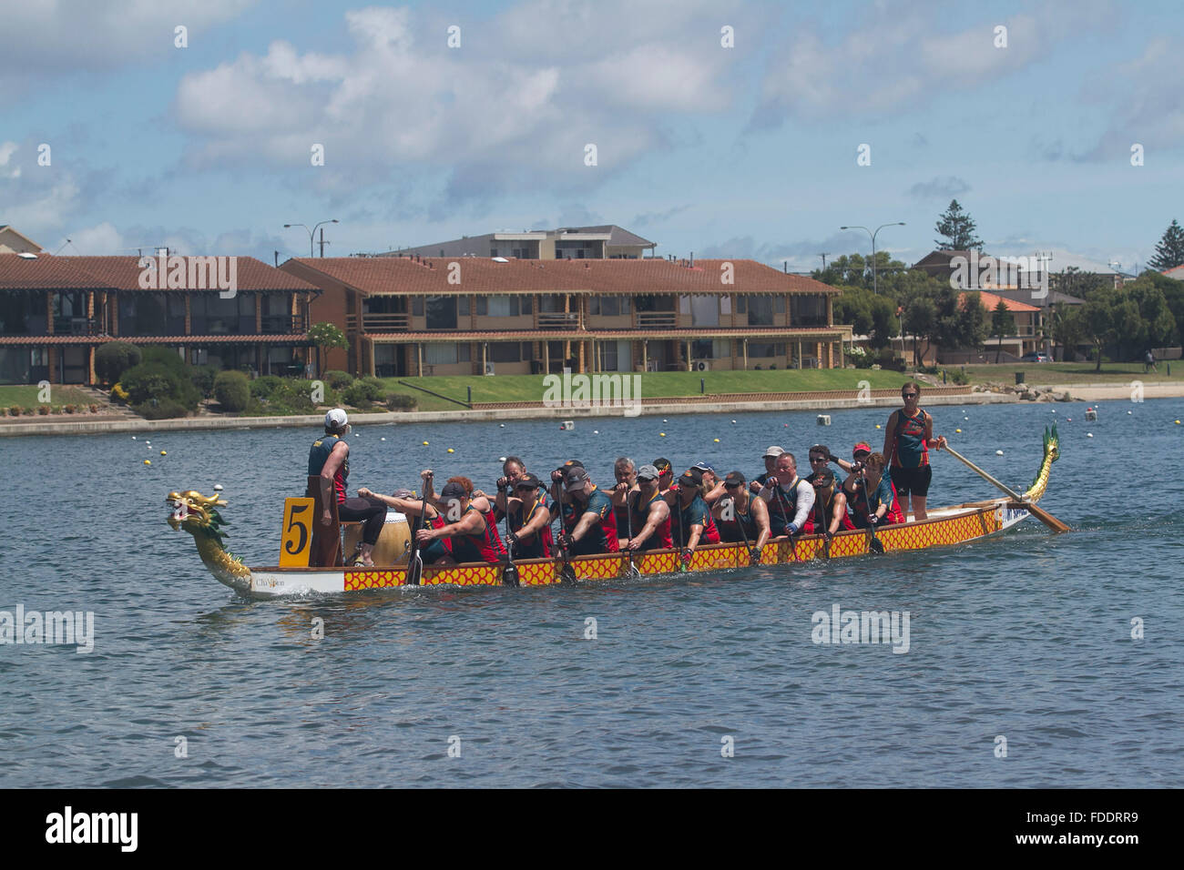 Australian Dragon Boat High Resolution Stock Photography and Images - Alamy
