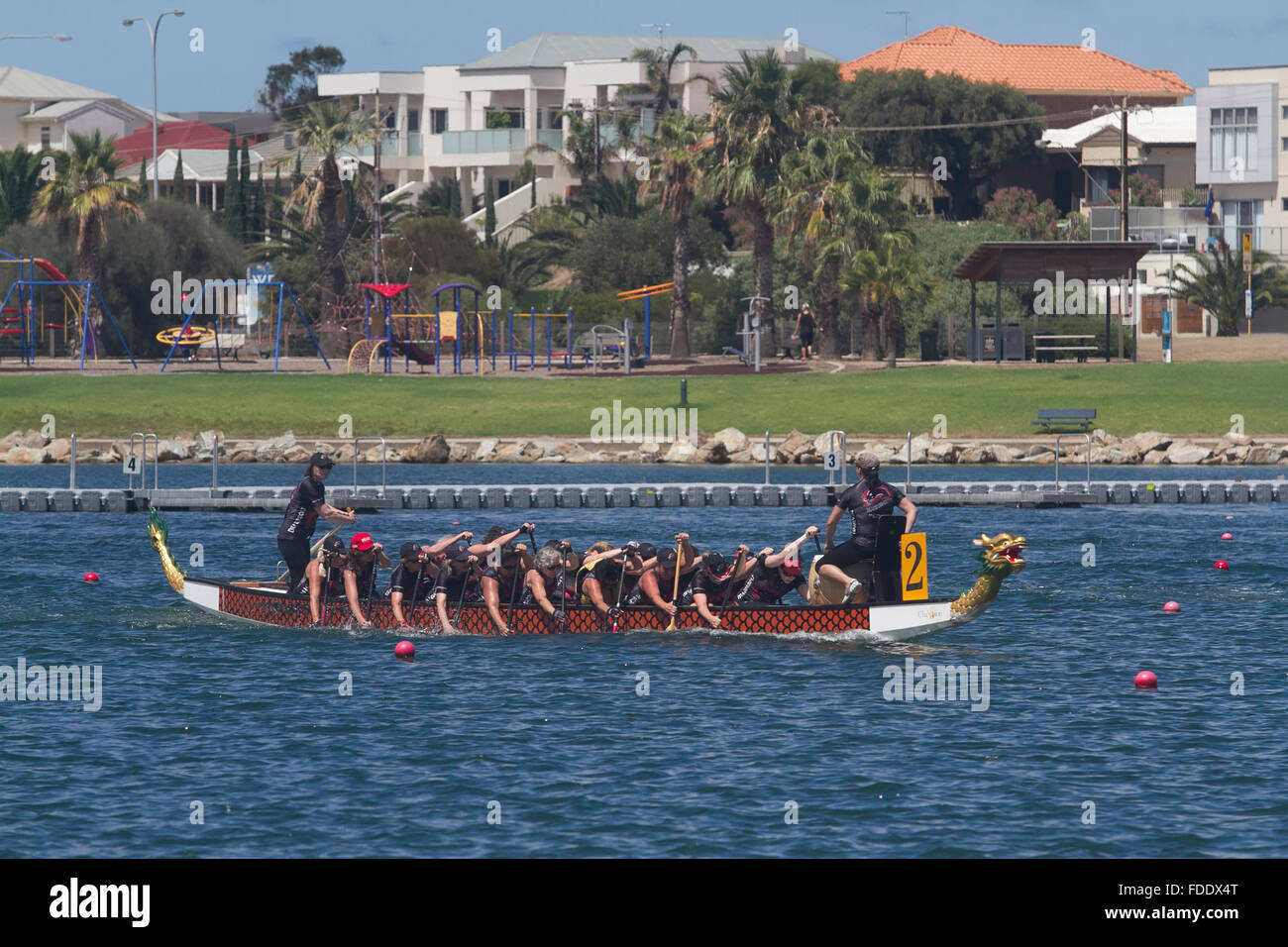 Adelaide, Australia. 31st Jan, 2016. Teams of Women and Men from ...