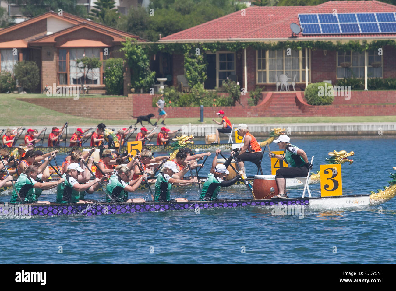 Australian Dragon Boat High Resolution Stock Photography and Images - Alamy