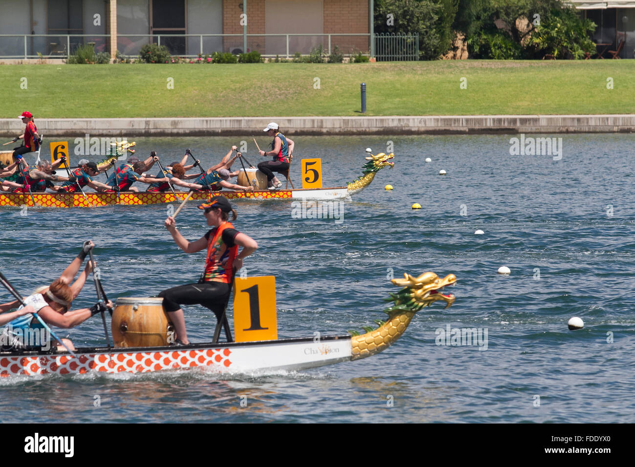 Australian dragon boat hi-res stock photography and images - Alamy