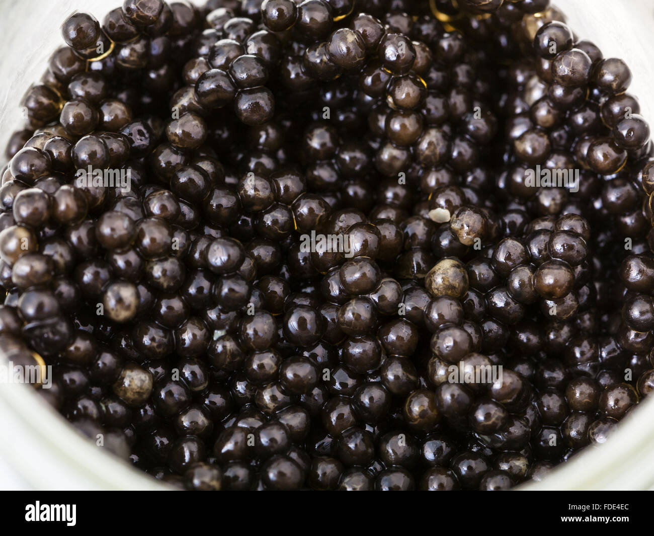 Sturgeon caviar hi-res stock photography and images - Alamy