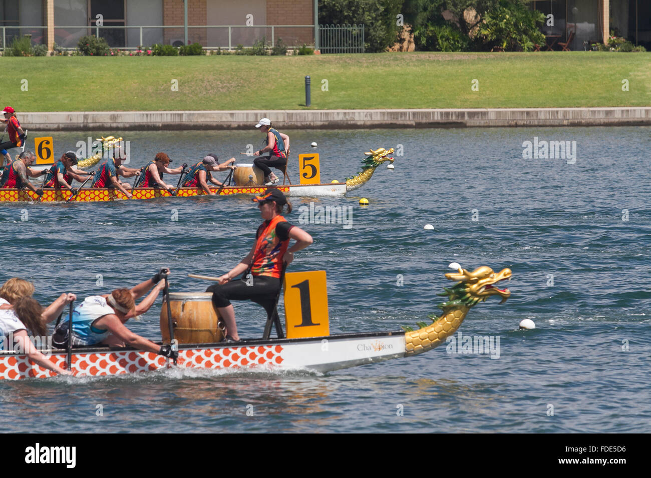 Adelaide, Australia. 31st Jan, 2016. Teams of Women and Men from ...